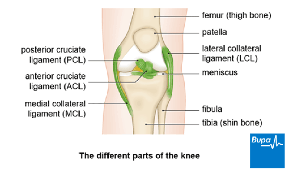 News - Simple ACL Reconstruction Instrument Set